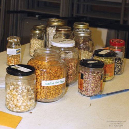 Organize a Seed Swap - Grit